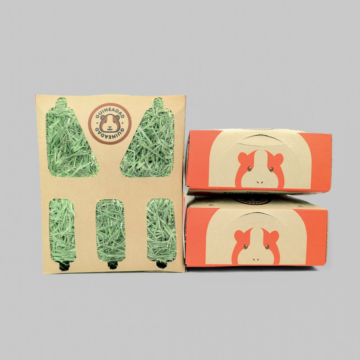 Guinea Pig Starter Bundle (Offbeat Club x GuineaDad)